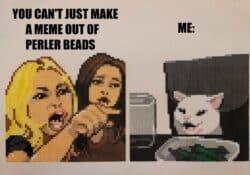 50 Woman Yelling at Cat Memes That Will Make You Laugh - Catster