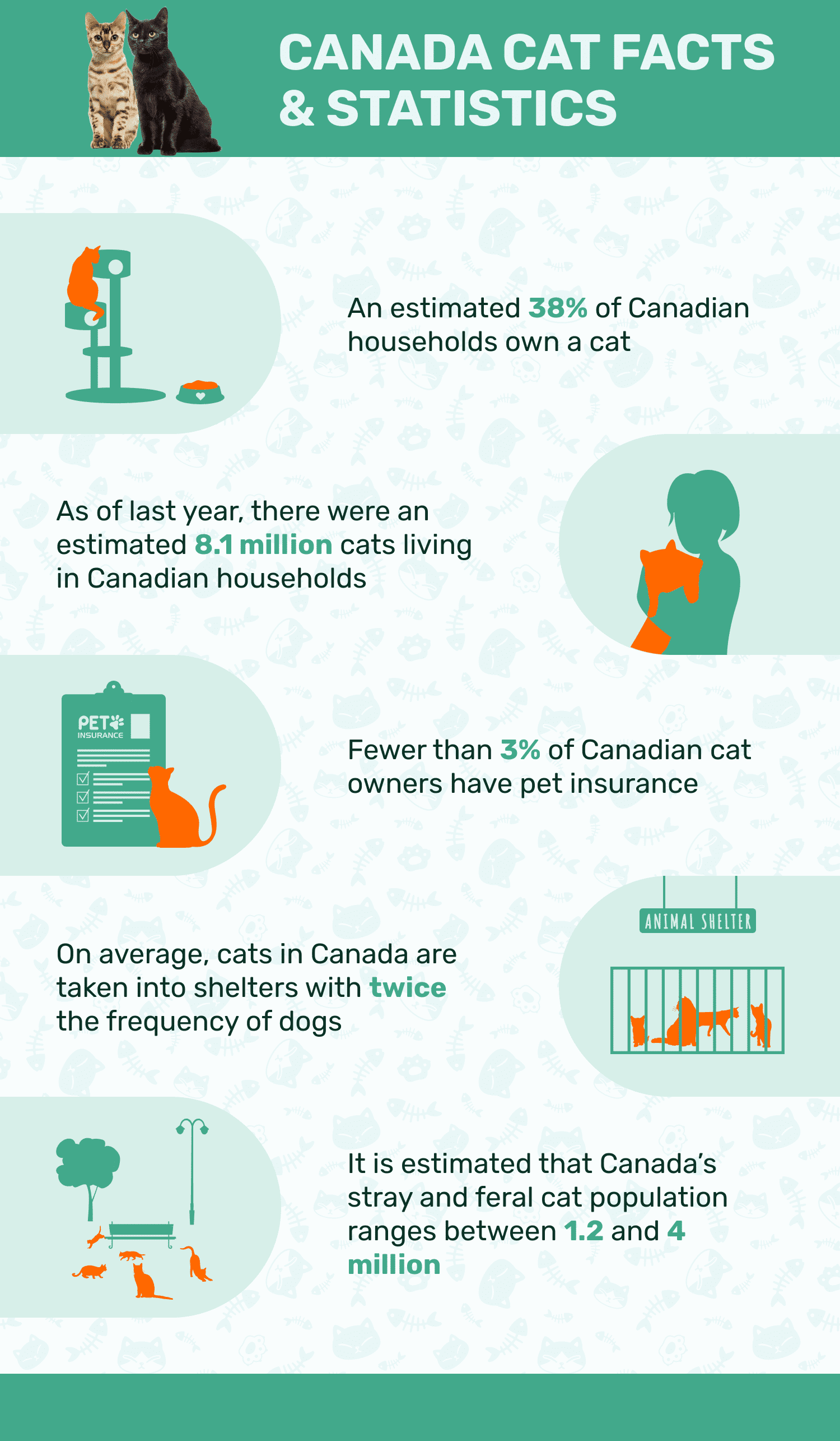14 Canada Cat Statistics & Facts All Cat Lovers Should Know (2024 Update) - Catster