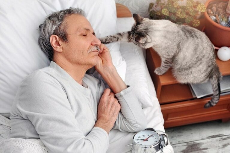 8 Vet-Reviewed Signs Your Cat Wants Attention From You (With Pictures ...