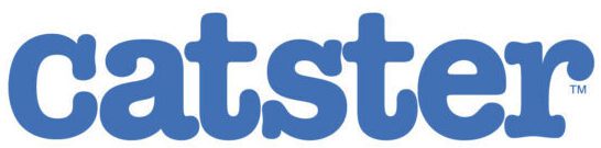 157 Blue Cat Names For Your Favorite Colored Cat - Catster