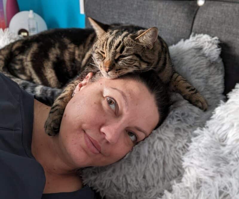 The Perils of Working From Home with a Demanding Cat - Catster