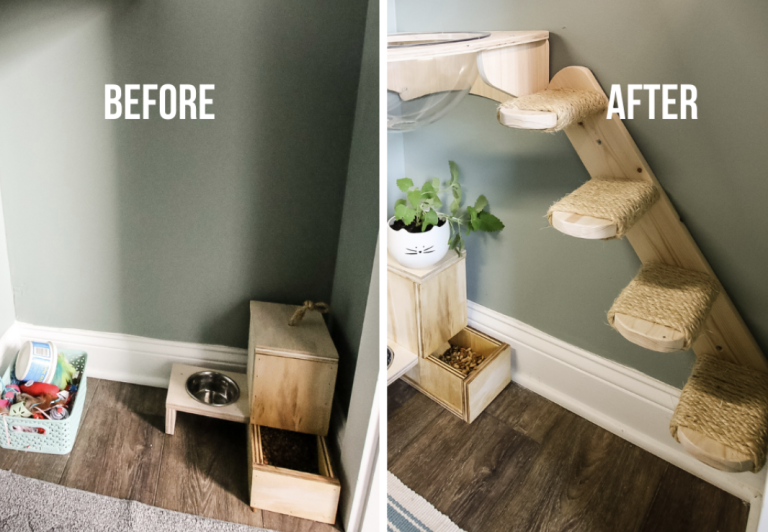 10 DIY Cat Climbing Wall Plans for Your House (With Pictures) - Catster