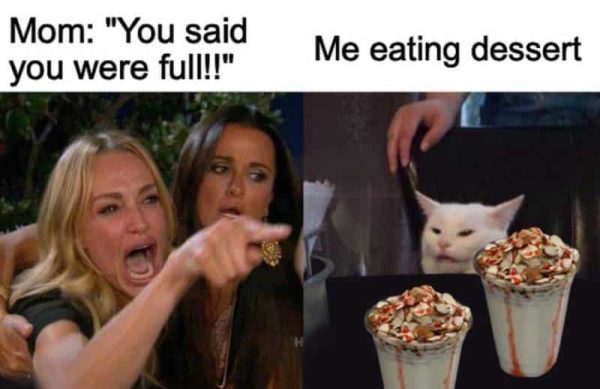 50 Woman Yelling at Cat Memes That Will Make You Laugh - Catster