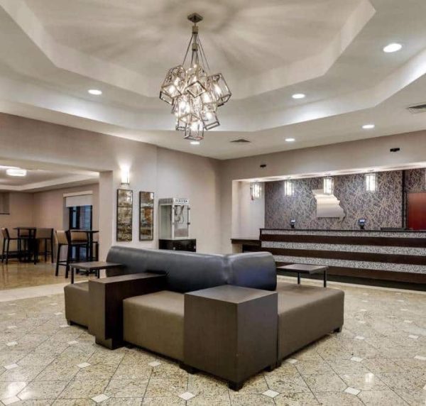 14 Cat-Friendly Hotels Chains for Holiday Travel in 2026 - Catster
