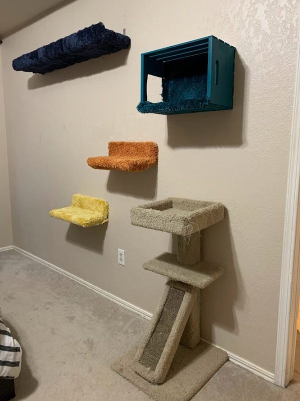 10 DIY Cat Climbing Wall Plans for Your House (With Pictures) - Catster