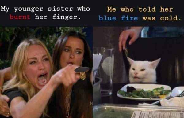 50 Woman Yelling at Cat Memes That Will Make You Laugh - Catster