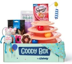 14 Essential Cat Party Supplies for a Kitty-Themed Event - Catster