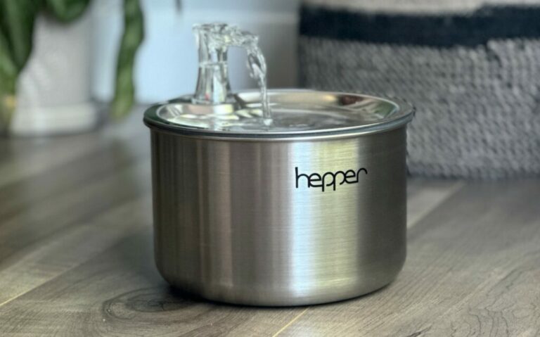 11 Best Cat Water Fountains in 2026 - Reviews & Top Picks - Catster