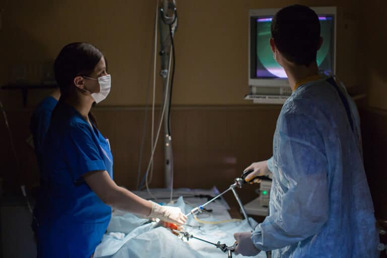 Are Laparoscopic Spays Preferable to Traditional Ones? Pros & Cons (Vet ...