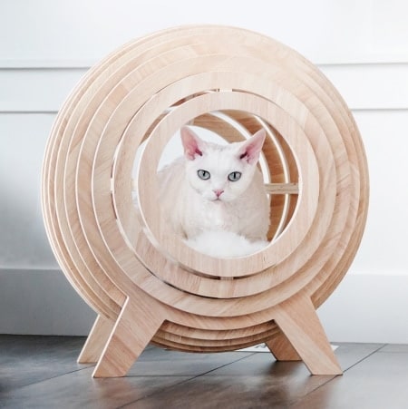 10 Best Cat Beds to Put on a Desk in 2024 - Reviews & Top Picks - Catster