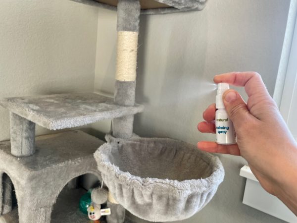 Pet Remedy Kitten Calming Kit Review 2026: Pros, Cons, & Our Verdict ...