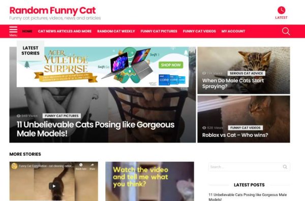 Top 8 Funny Cat Websites on the Internet - Catster