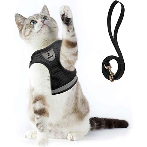 10 Best Cat Harnesses of 2024 - Reviews & Top Picks - Catster
