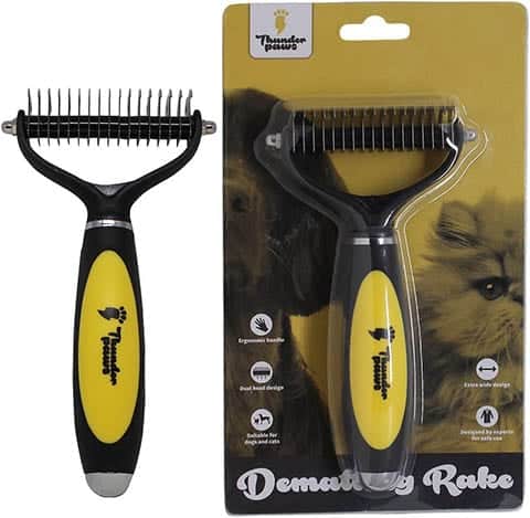 9 Best Cat Brushes in the UK in 2024: Reviews & Top Picks - Catster