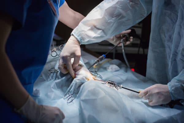 Are Laparoscopic Spays Preferable to Traditional Ones? Pros & Cons (Vet ...