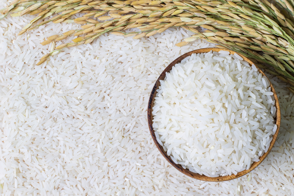 Can Rice Be Used as Cat Litter? Vet-Reviewed Pros & Cons - Catster