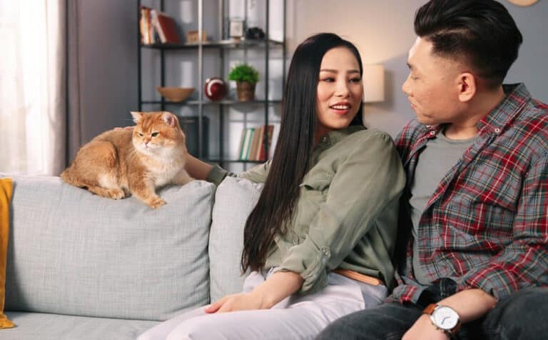 Why Does My Cat Act Like My Child? 10 Vet-Verified Reasons - Catster