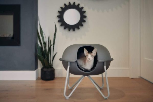 10 Best Cat Beds for Anxiety in 2024 - Reviews & Top Picks - Catster