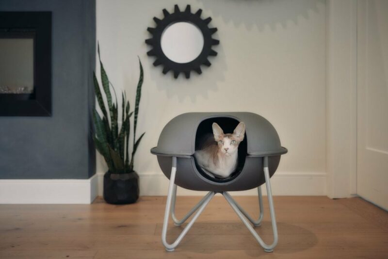 10 Best Cat Beds for Anxiety in 2024 - Reviews & Top Picks - Catster