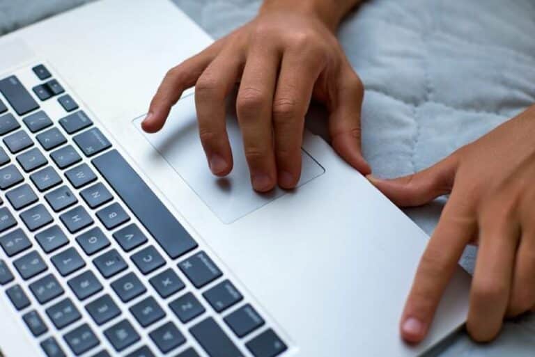 My Cat Walked on My Keyboard & Broke Something, What's Wrong? - Catster