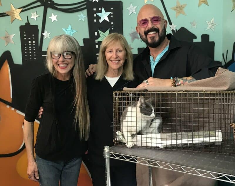 FixNation's Ongoing Crusade for Feline Wellness Reaches a Milestone ...