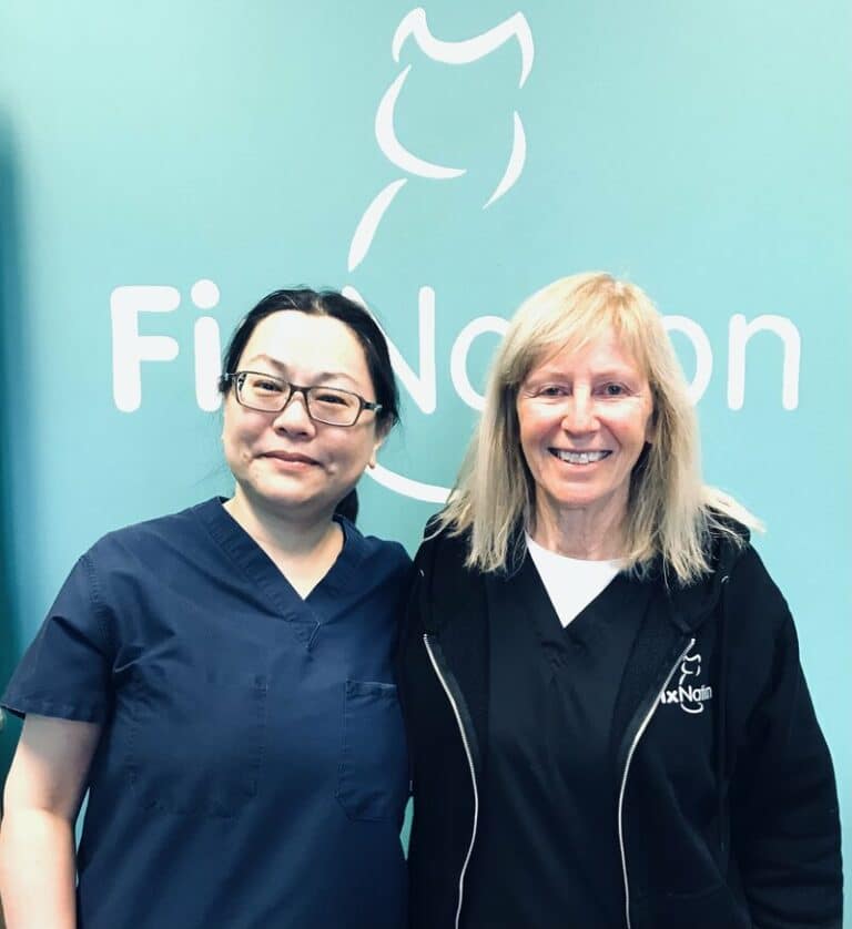 FixNation's Ongoing Crusade for Feline Wellness Reaches a Milestone ...