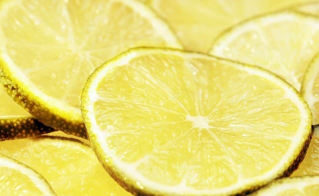 Can Cats Eat Lemon? Vet Approved Facts & FAQ - Catster