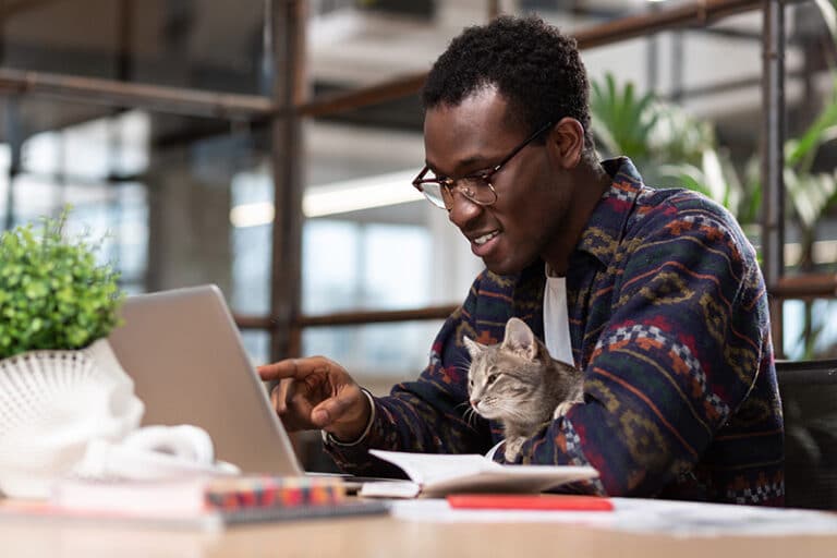 Take Your Cat to Work Day 2026: When & What Is It - Catster
