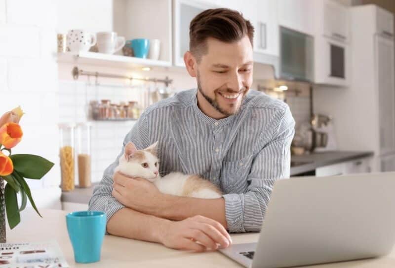 Working from Home With Cats: 10 Vet-Reviewed Ways to Prevent ...