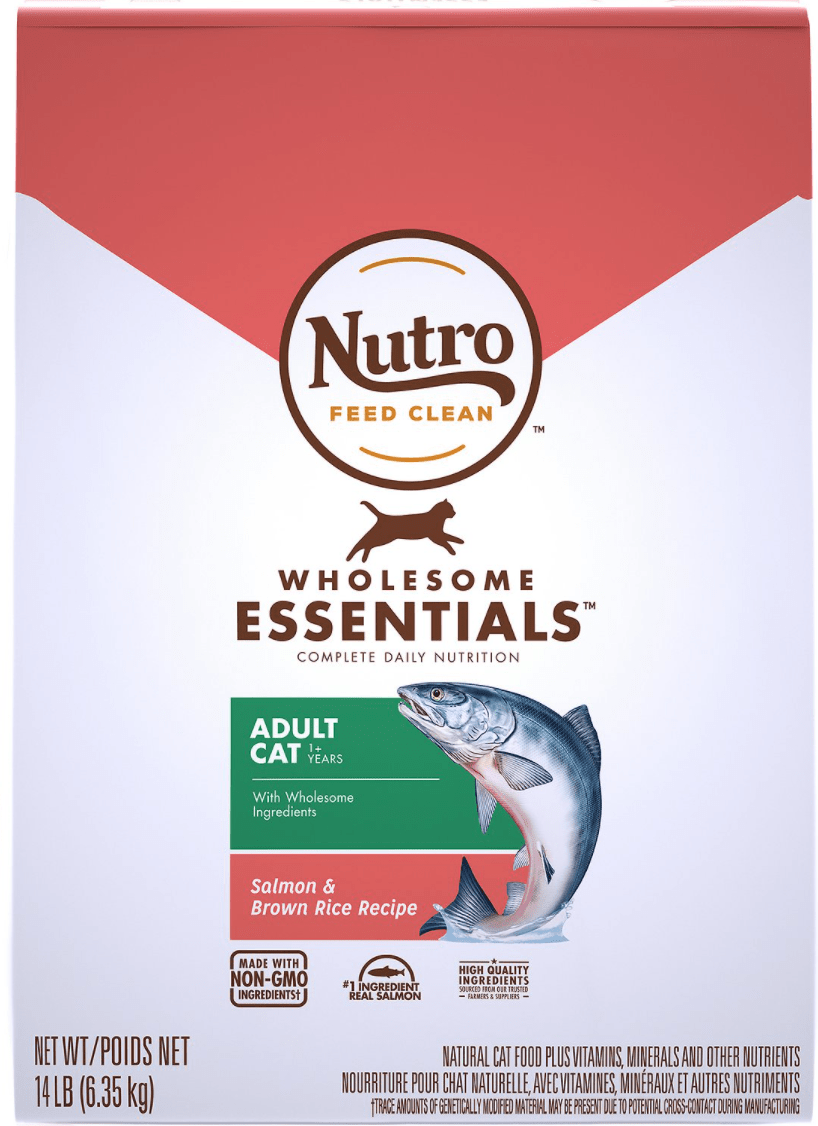 Nutro Cat Food Review of 2024: Recalls, Pros & Cons - Catster