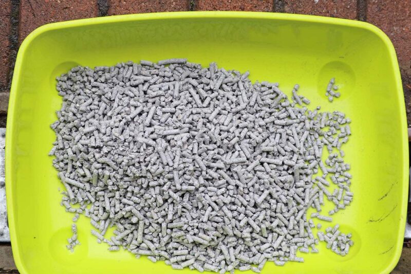 What Type of Litter Is Best for Cats? 9 Vet Approved Choices - Catster