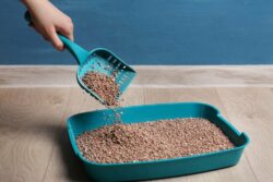 How to Stop Cat Litter Tracking at Home: 9 Proven Methods - Catster