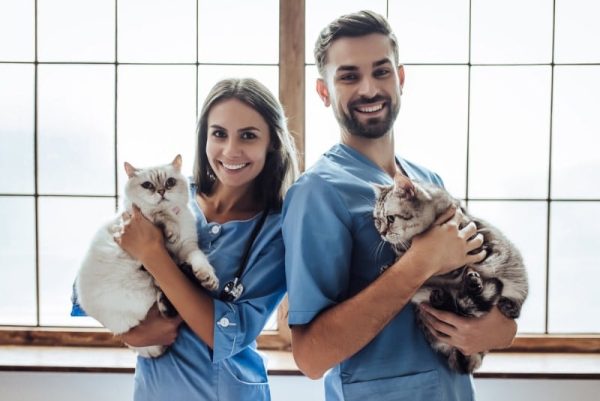 13 Jobs With Cats for Cat Lovers You Can Do in 2024 - Catster