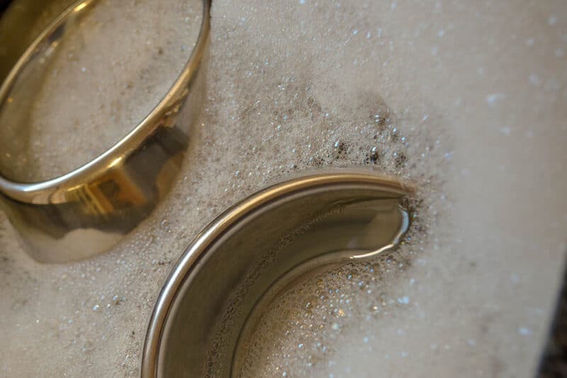 How to Keep Slugs Away From Cat Food: 7 Vet-Approved Tips - Catster