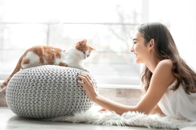 6 Reasons Cat-Sitting Jobs Are Awesome - Catster