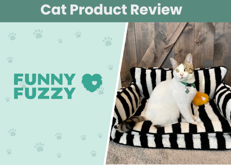 Funny Fuzzy Cat Sofa Bed Review 2024: Our Expert’s Opinion - Catster