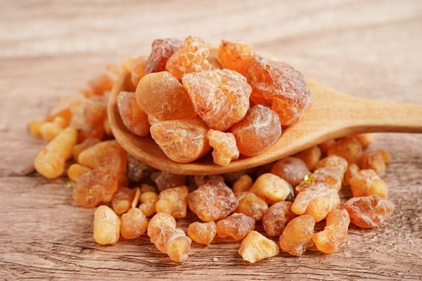 Is Frankincense Safe for Cats? Our Vet Explains Health Concerns & FAQ ...