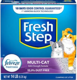 Fresh Step Cat Litter Review of 2026: Recalls, Pros & Cons - Catster