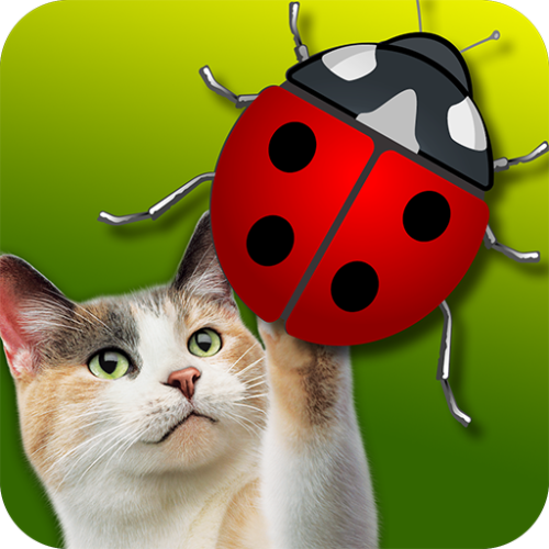 6 Cat Screen Games for Your Phone and Tablet (2025 Update) - Catster