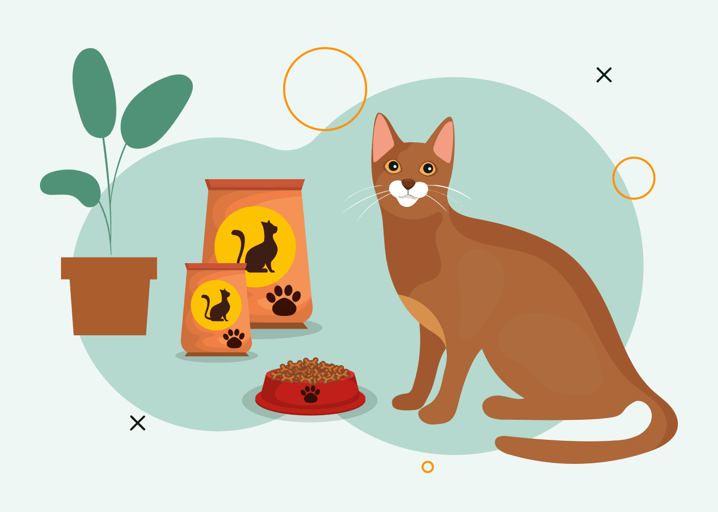 Cat Food Reviews 2024 – Brands & Ratings - Catster