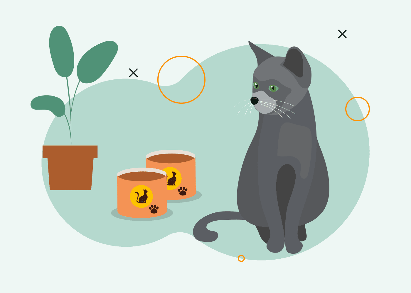 Cat Food Reviews 2024 – Brands & Ratings - Catster