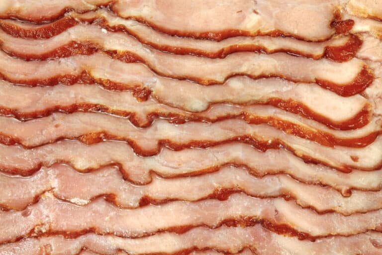 Can Cats Eat Turkey Bacon? Vet-Approved Risks & FAQ - Catster