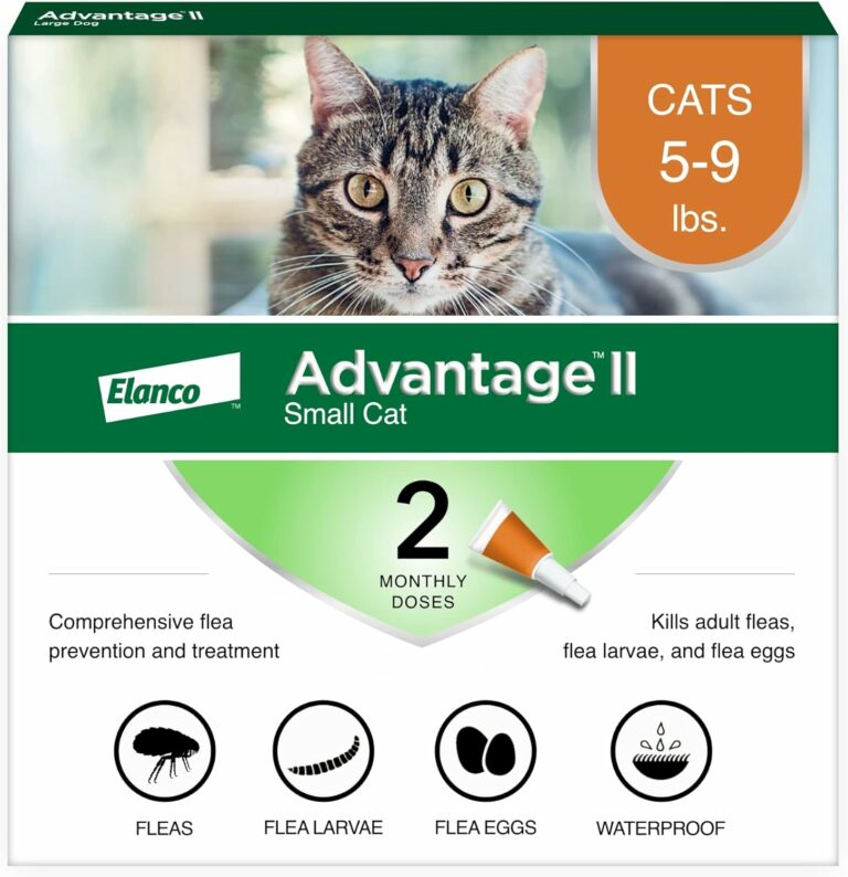 K9 Advantix Is Not Safe for Cats: Our Vet Explains Why - Catster