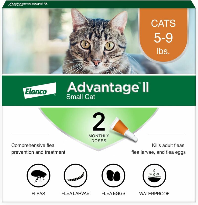 K9 Advantix Is Not Safe for Cats: Our Vet Explains Why - Catster