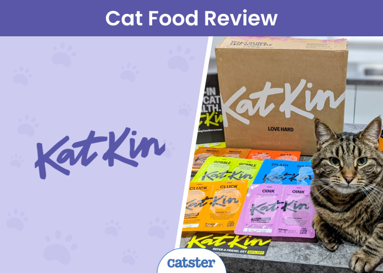 KatKin Fresh Cat Food Review 2026: Our Vet's Opinion - Catster