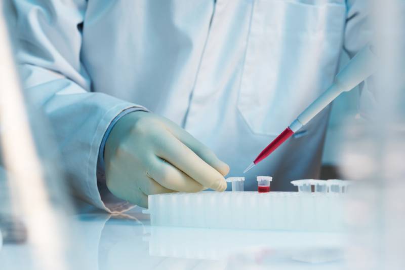 Stem Cell Cat Therapy: Our Vet Explains How It Works, Side Effects ...