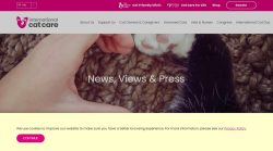 25 Top Cat Blogs Every Kitten Lover Should Read in 2025 - Catster