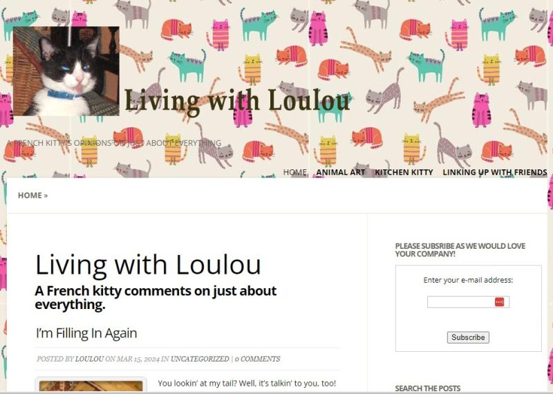 25 Top Cat Blogs Every Kitten Lover Should Read in 2025 - Catster