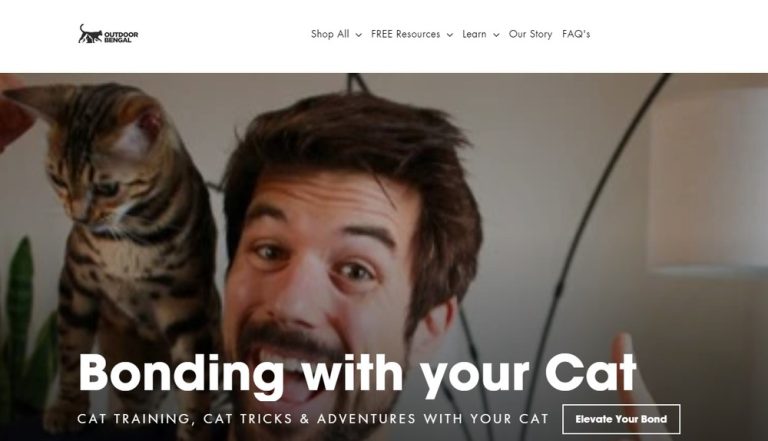 25 Top Cat Blogs Every Kitten Lover Should Read in 2025 - Catster