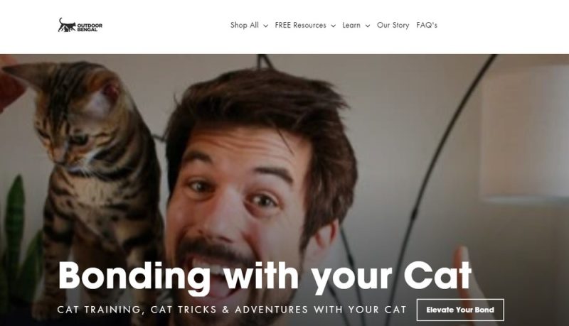 25 Top Cat Blogs Every Kitten Lover Should Read in 2025 - Catster